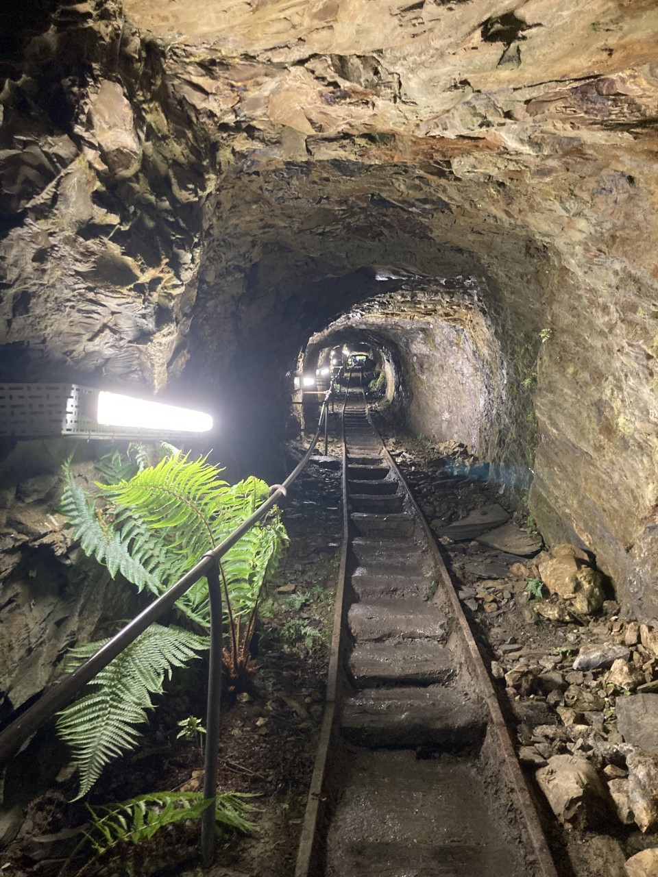 The Man Who Photographed the Miners: J. C. Burrow in Cornwall and Wales ...