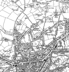 Camborne’s Feast Day Rugby – Francis Edwards ~ The Cornish Historian
